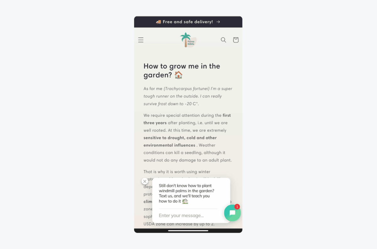 What Is Proactive Live Chat: Examples, Tips & Tools