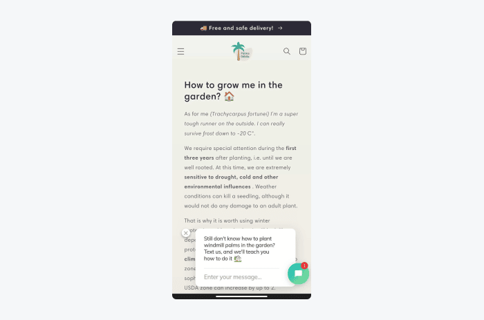What Is Proactive Live Chat: Examples, Tips & Tools