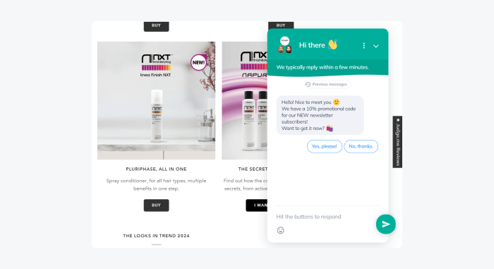The Best Ecommerce Chatbots for Your Website [+Examples]