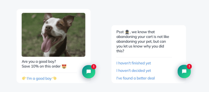 What Is Proactive Live Chat: Examples, Tips & Tools