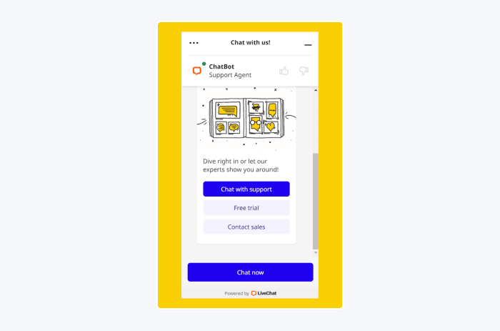 What Is Proactive Live Chat: Examples, Tips & Tools