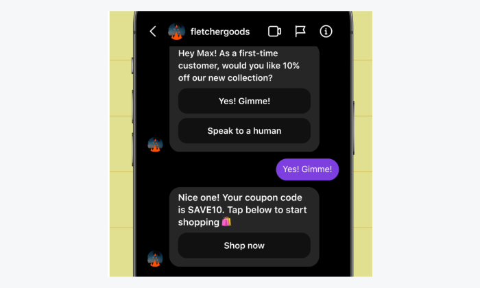 The Best Ecommerce Chatbots for Your Website [+Examples]