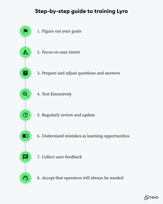 Lyro AI Training: Best Practices & Step-By-Step Guide | Tidio