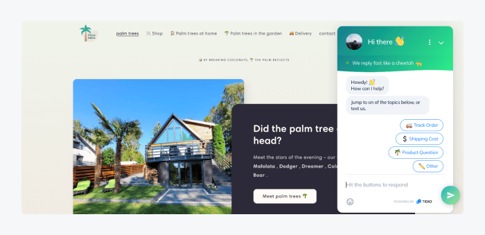 What Is Proactive Live Chat: Examples, Tips & Tools