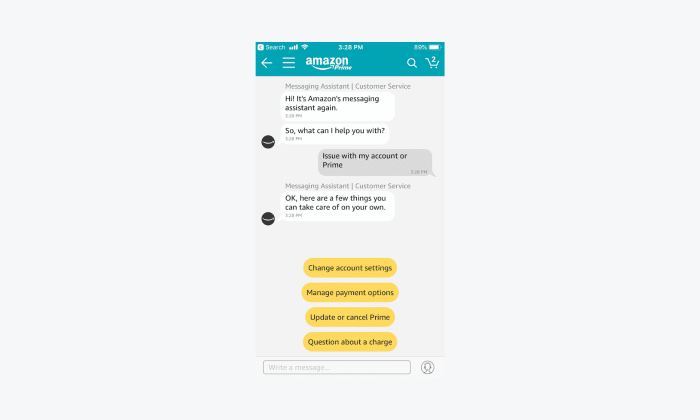 10 Must-Have Chatbot Features for Your Business [+Examples]