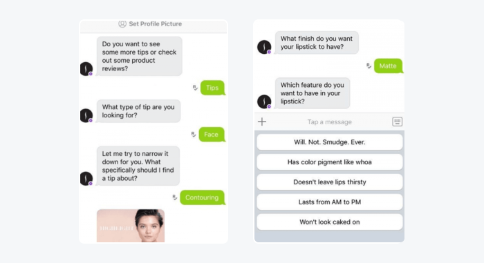 The Best Ecommerce Chatbots for Your Website [+Examples]