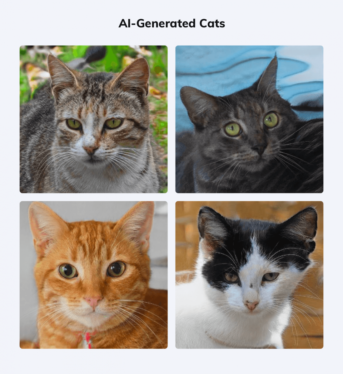 AI or Not Quiz (Generated Pics vs Real Photos, Images & Art)