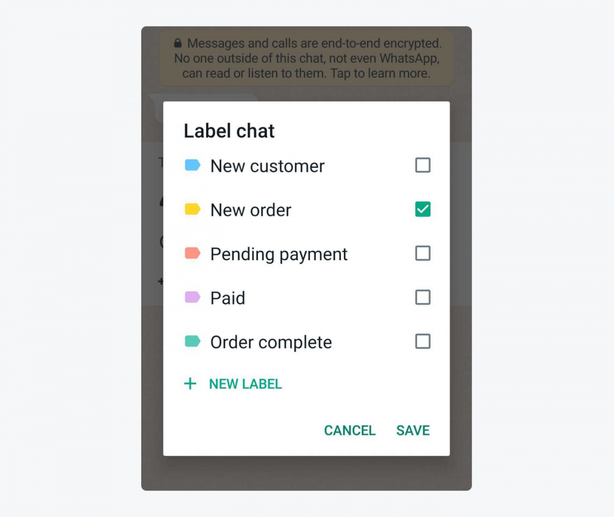 WhatsApp vs WhatsApp Business Account [Features & Benefits]
