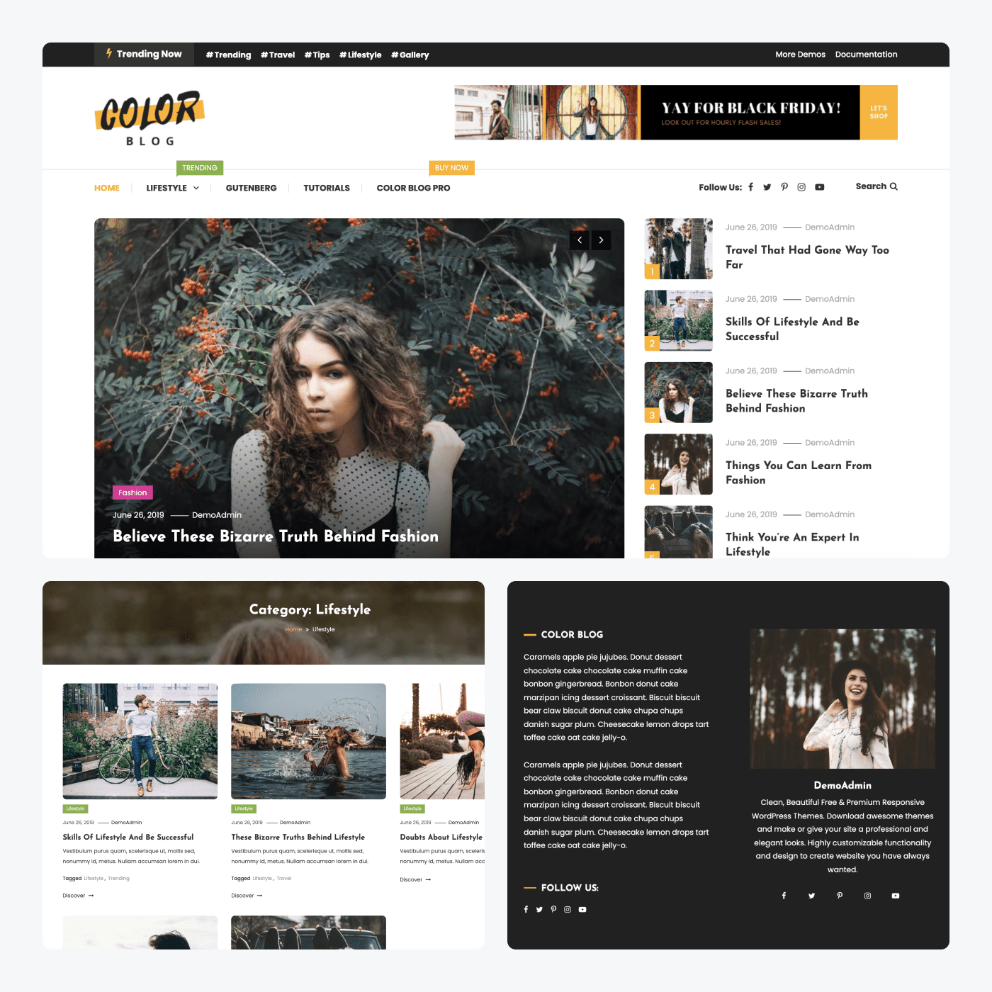 50+ Best Free Minimalist WordPress Themes (2025)