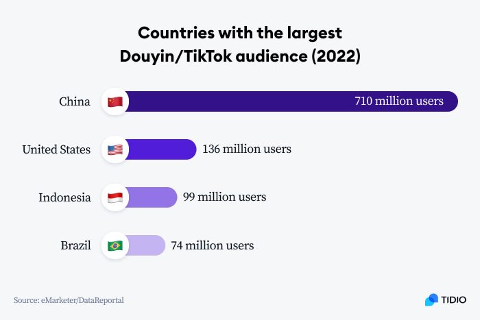 15 TikTok Statistics & Trends You Should Know in 2025