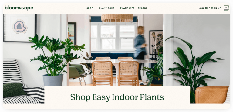 eCommerce Website: How to Build Yours [10+ Design Examples]