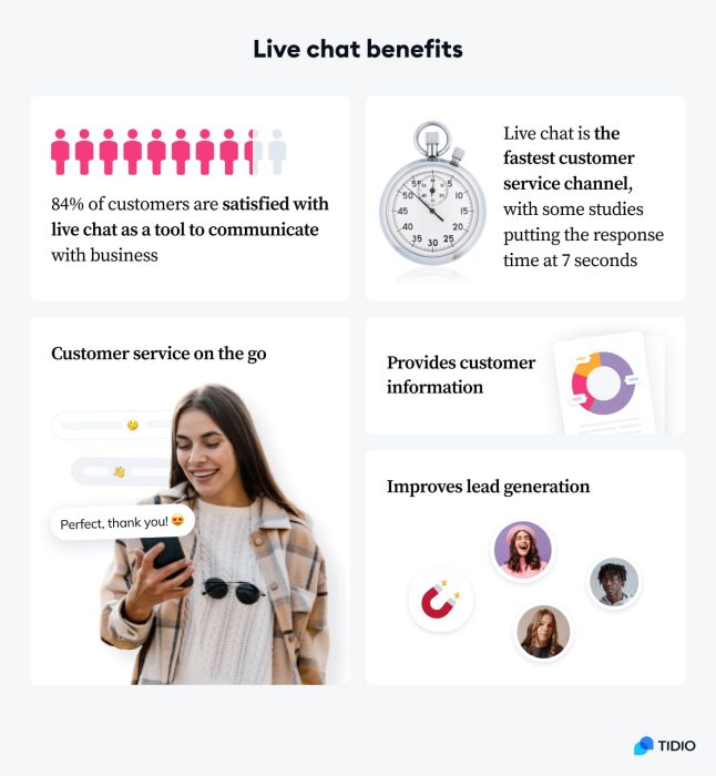 Live Chat para Web: Mejores Sistemas y Widgets 2024
