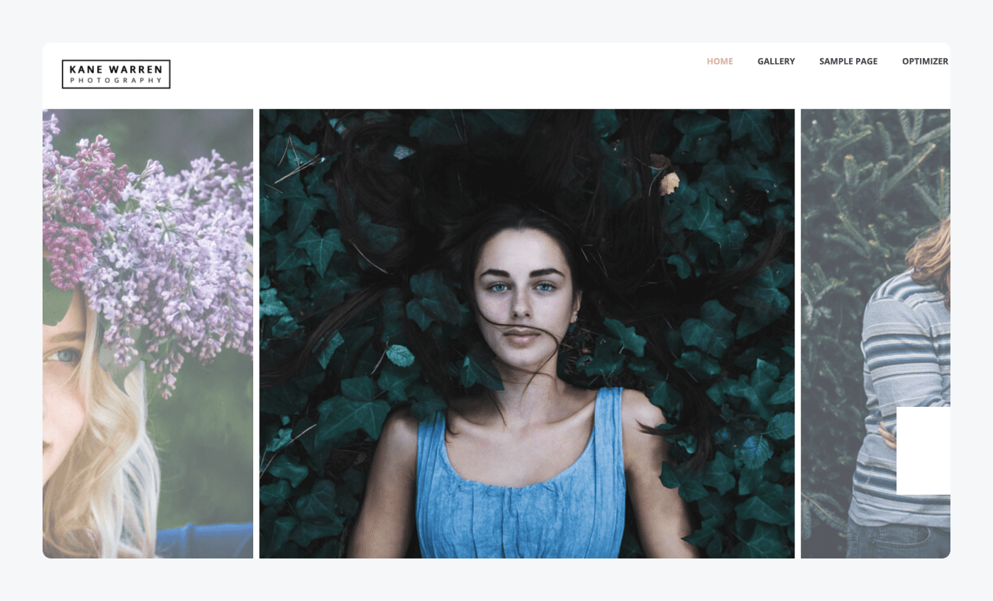 50+ Best Free Minimalist WordPress Themes (2024)