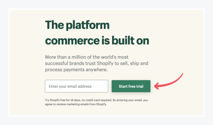 How Does Shopify Work & How to Use It [Guide for Beginners]