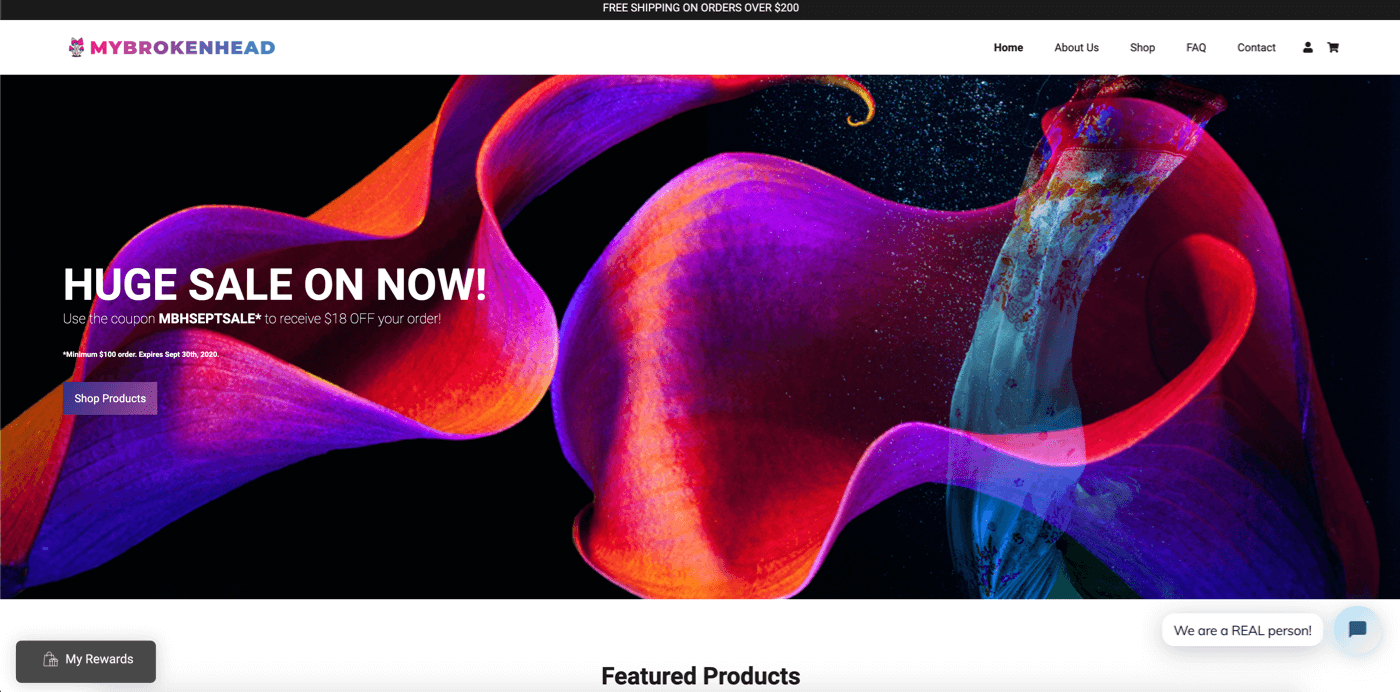 9 Top WordPress Ecommerce Website Examples [WP Store List]